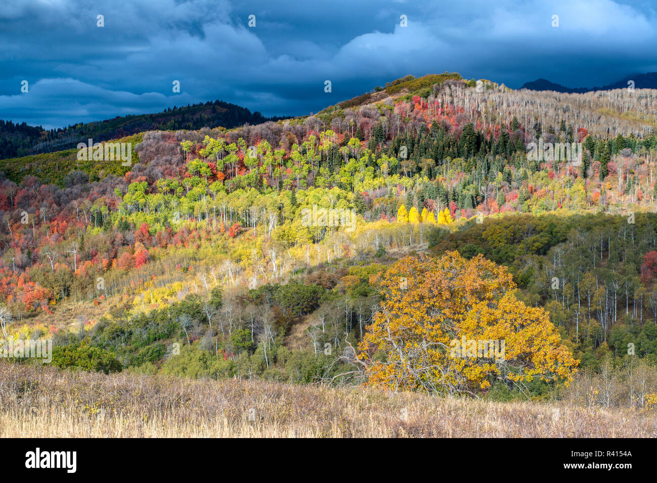 Wasatch mountains utah hi-res stock photography and images - Alamy