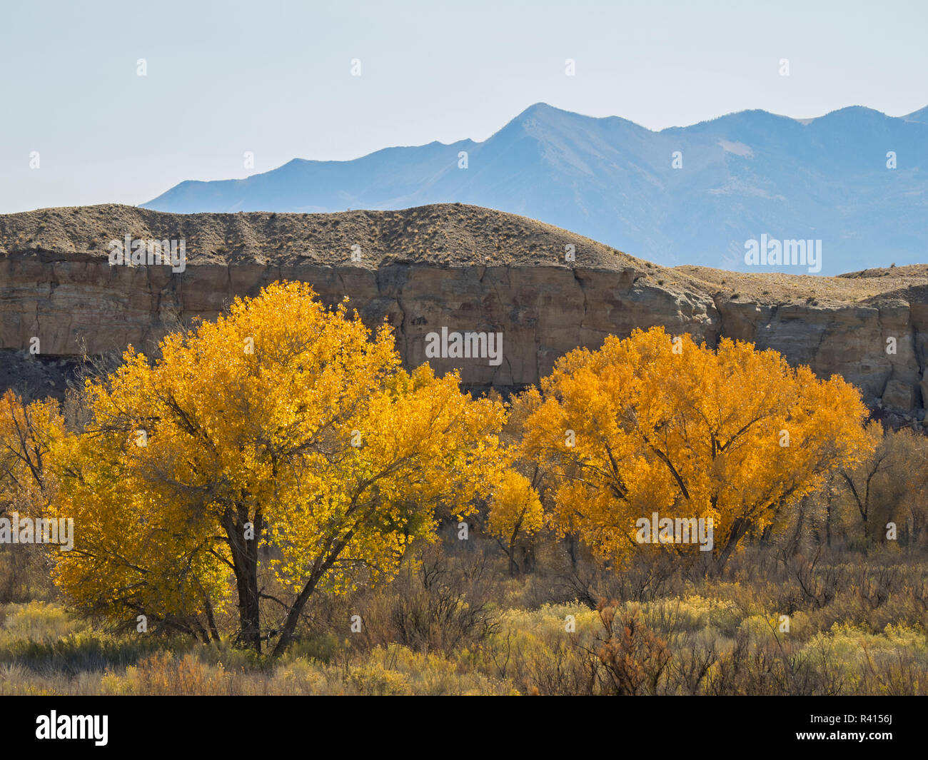 Utah, Wayne County, Upper Blue Hills Stock Photo - Alamy