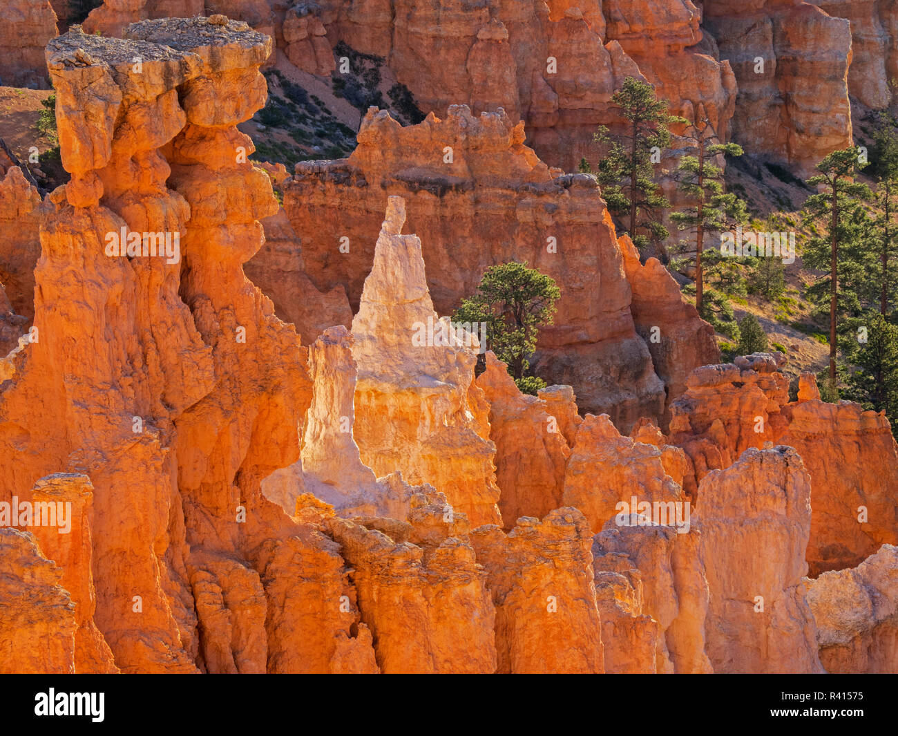 Queen victoria rock hi-res stock photography and images - Alamy