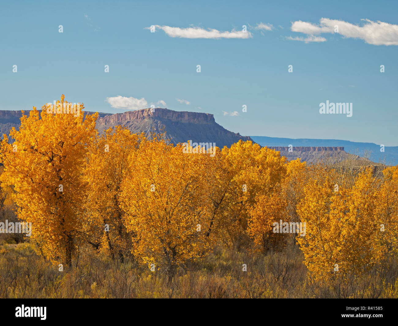 Utah fall hills hi-res stock photography and images - Alamy