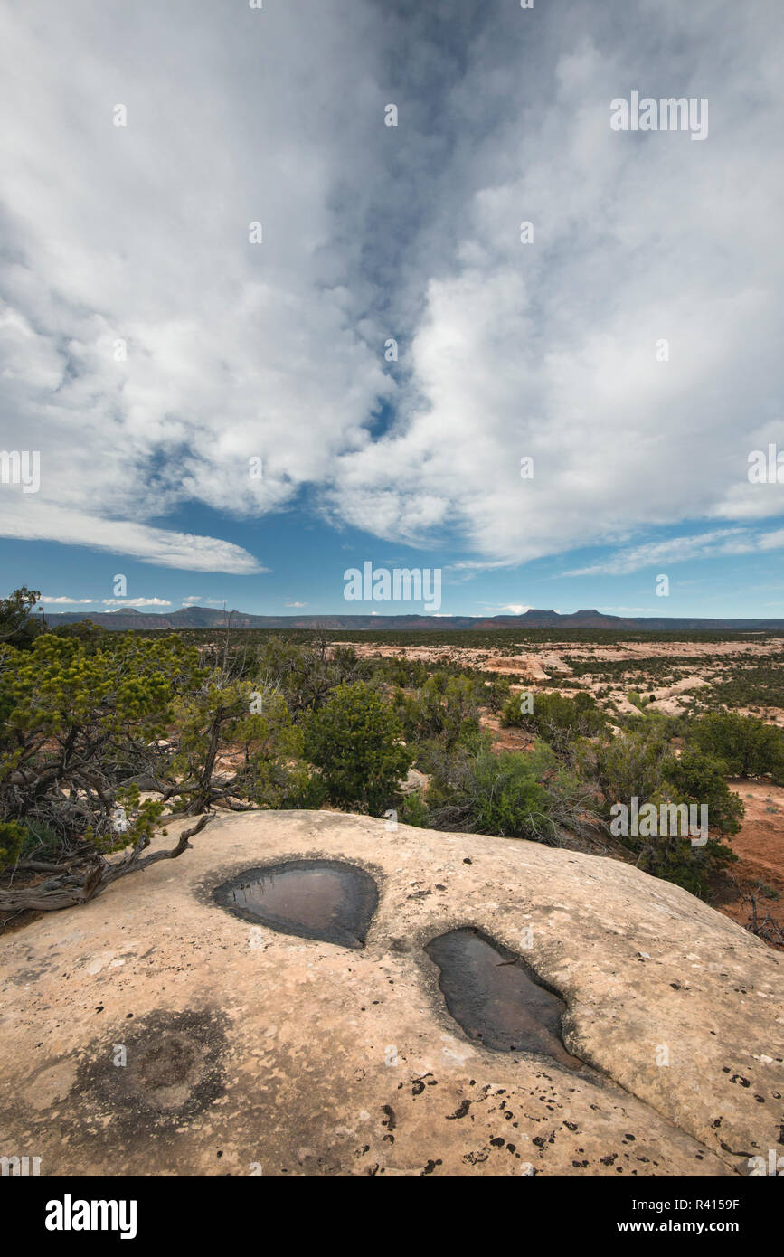 USA, Utah. The Bears Ears, Colorado Plateau, Bears Ears National ...