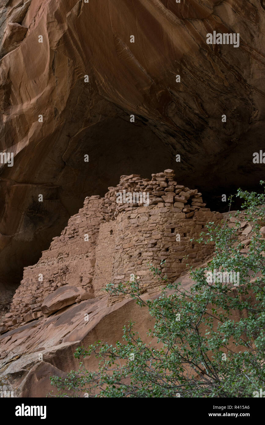 Monarch cave hi-res stock photography and images - Alamy