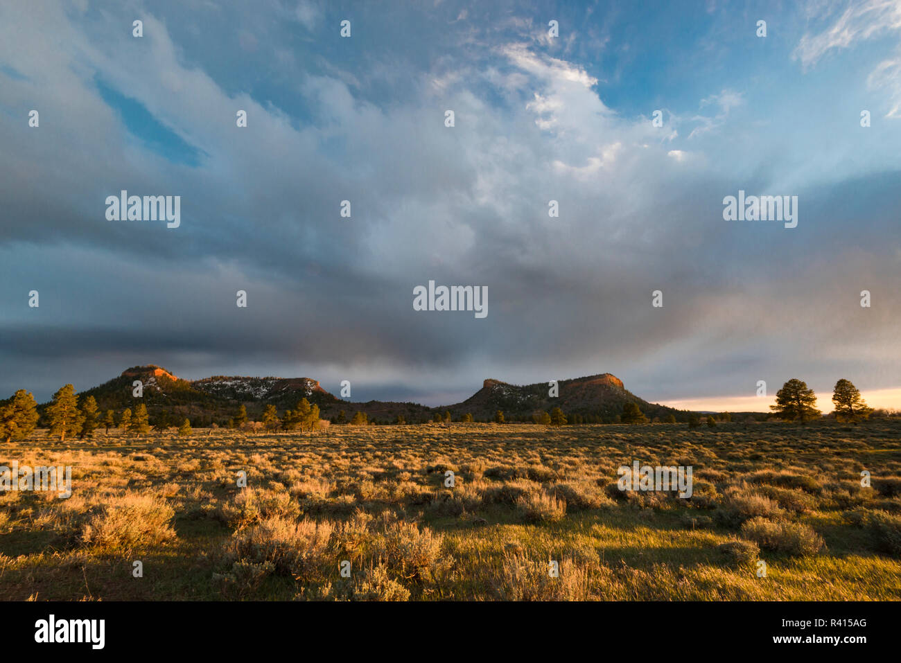 USA, Utah. The Bears Ears, Colorado Plateau, Bears Ears National ...