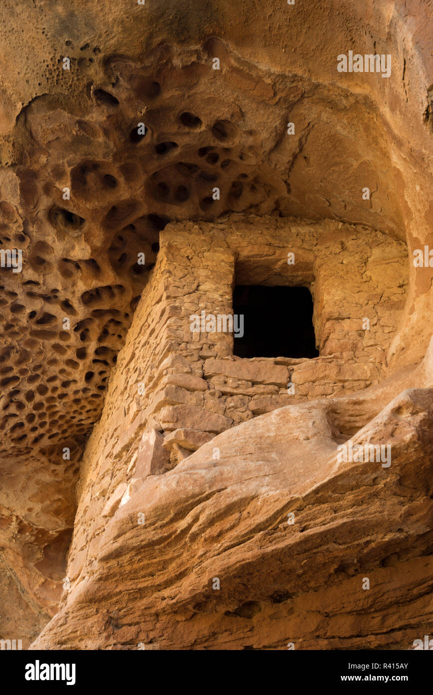 USA, Utah. Honeycomb Ceiling Ruins, Bears Ears National Monument Stock ...