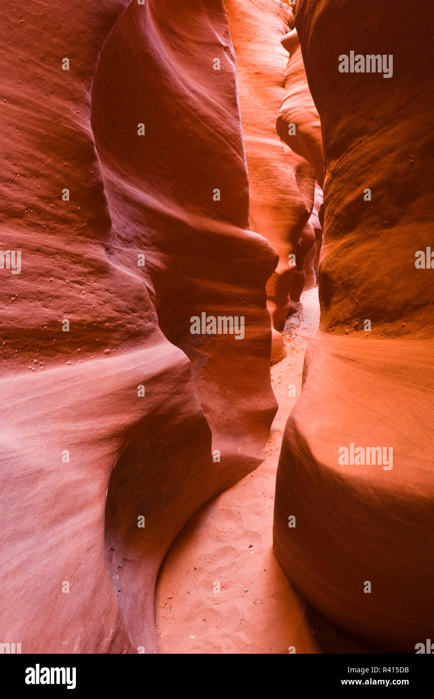 Slot canyon in Spooky Gulch, Grand Staircase-Escalante National ...