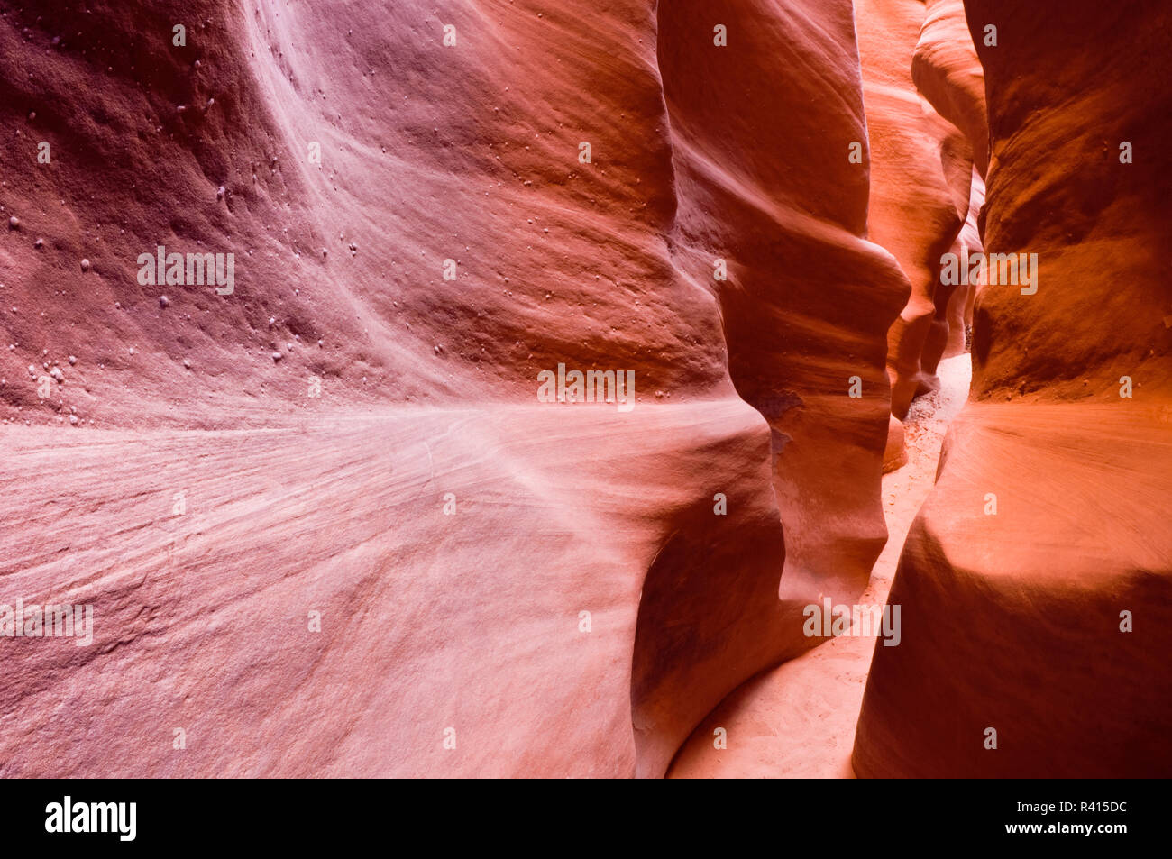 Slot canyon in Spooky Gulch, Grand Staircase-Escalante National ...