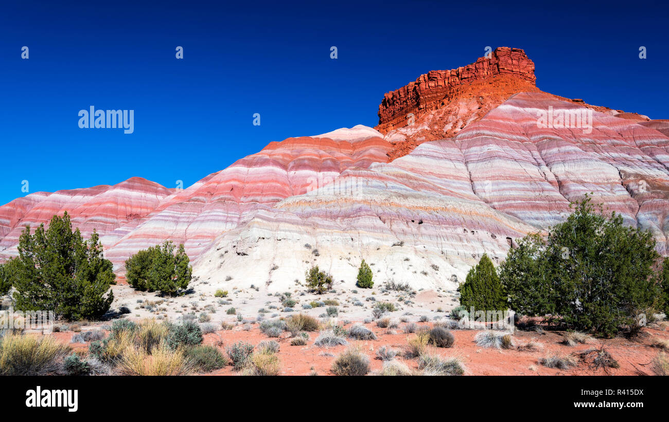 Evening light on the Cockscomb, Grand Staircase-Escalante National ...