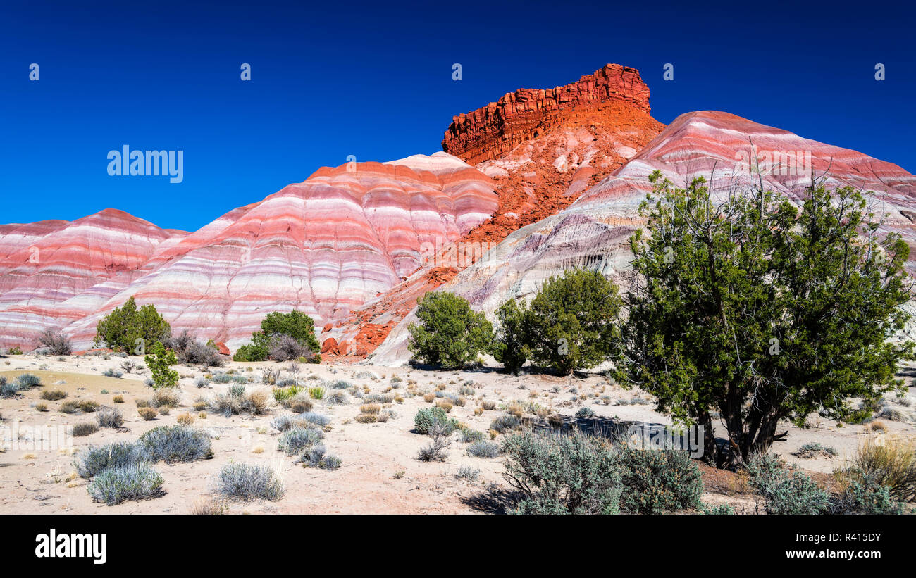 Evening light on the Cockscomb, Grand Staircase-Escalante National ...