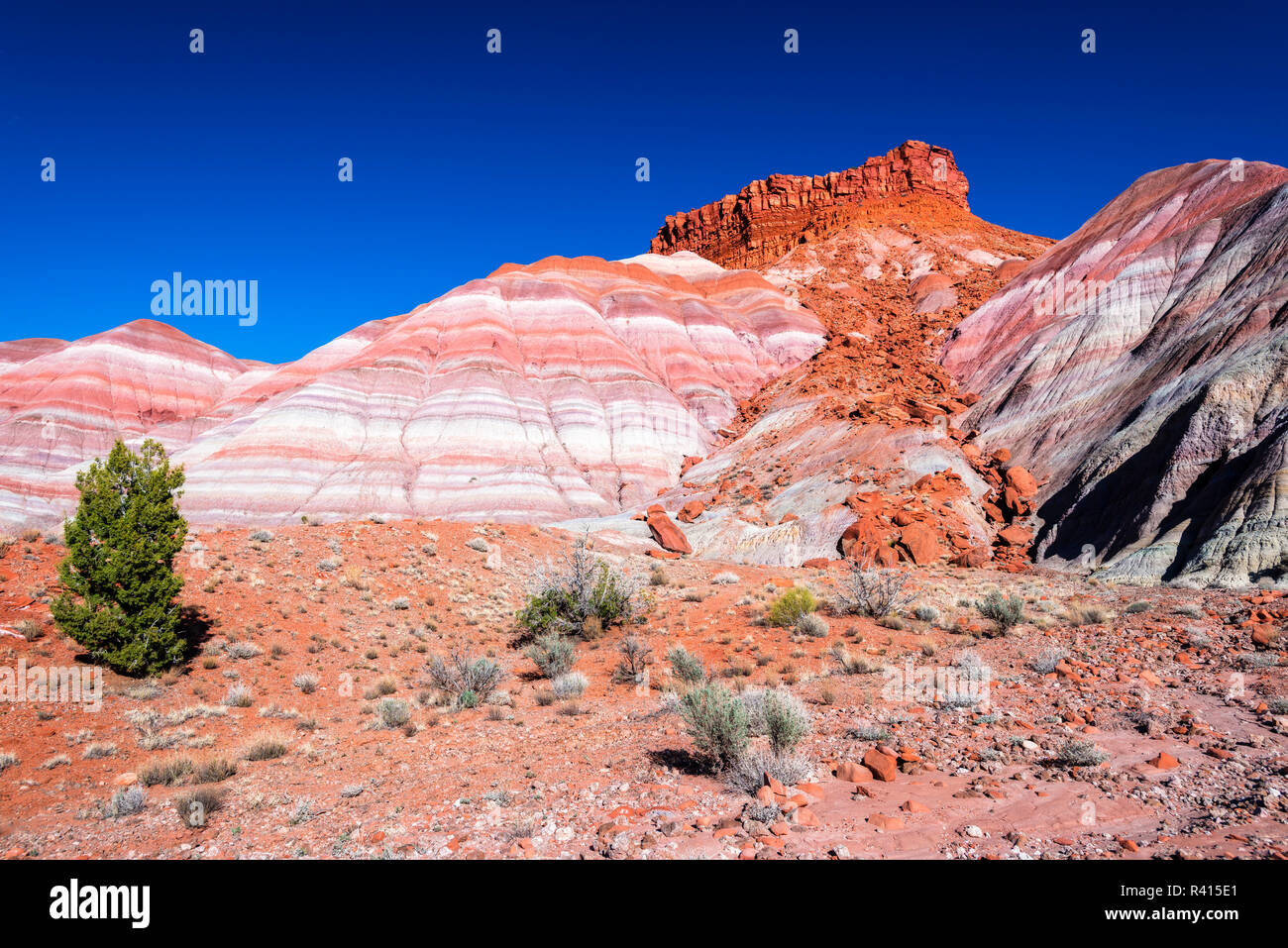 Evening light on the Cockscomb, Grand Staircase-Escalante National ...