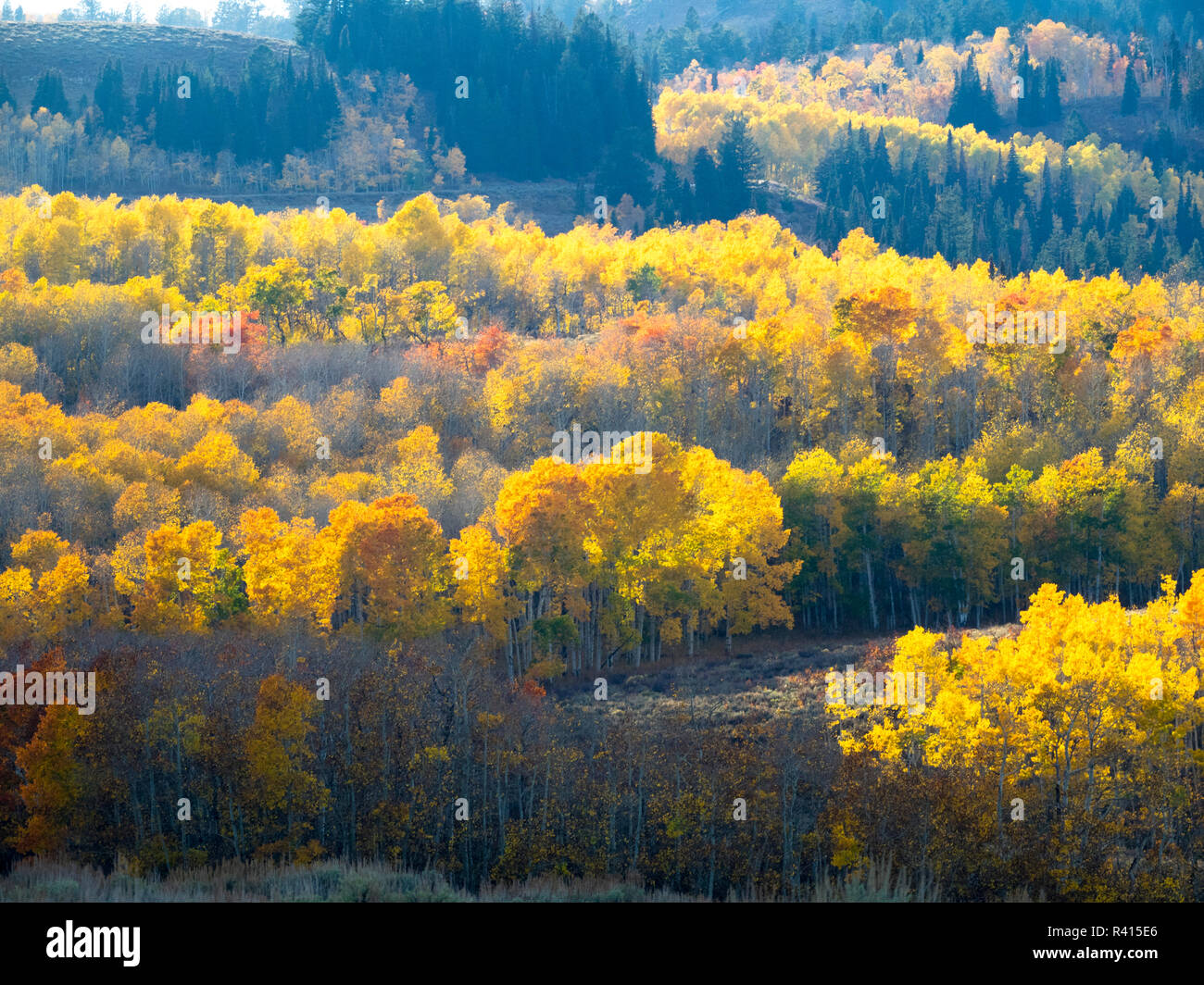Logan canyon scenic byway hi-res stock photography and images - Alamy