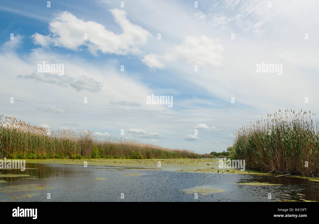 Reed river hi-res stock photography and images - Alamy