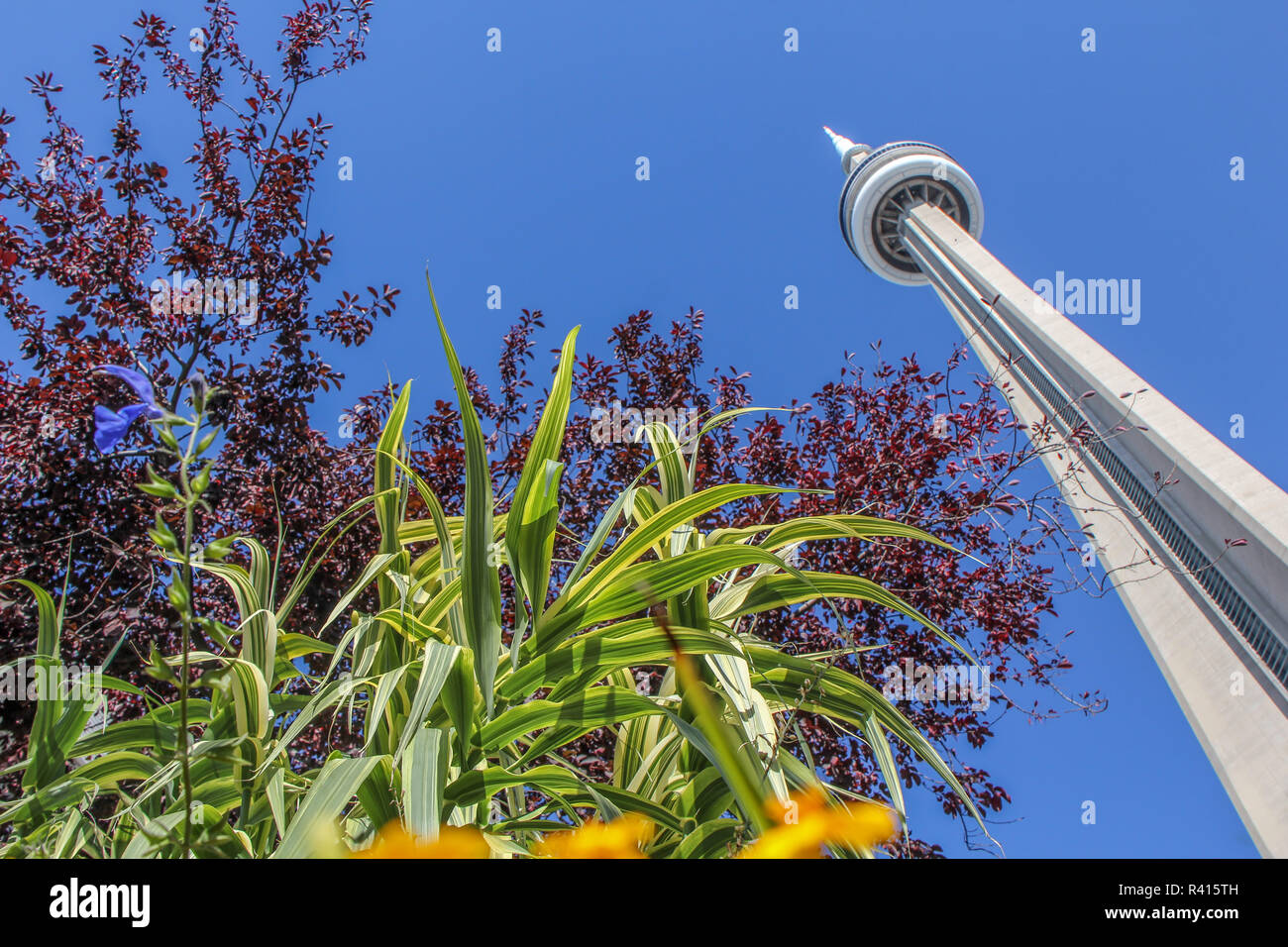 Cntower hi-res stock photography and images - Alamy