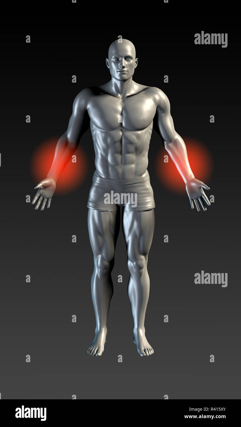 Forearm muscles hi-res stock photography and images - Alamy