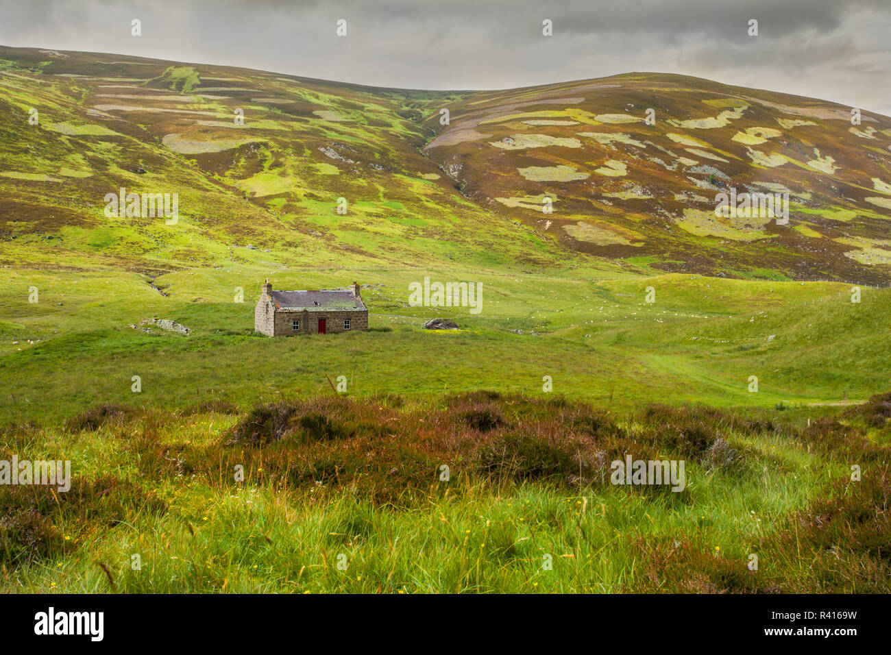 Scottish peasant hi-res stock photography and images - Alamy