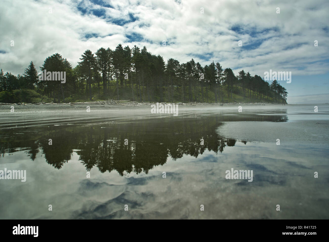 USA, Washington State. Olympic Peninsula, Ruby Beach Stock Photo - Alamy