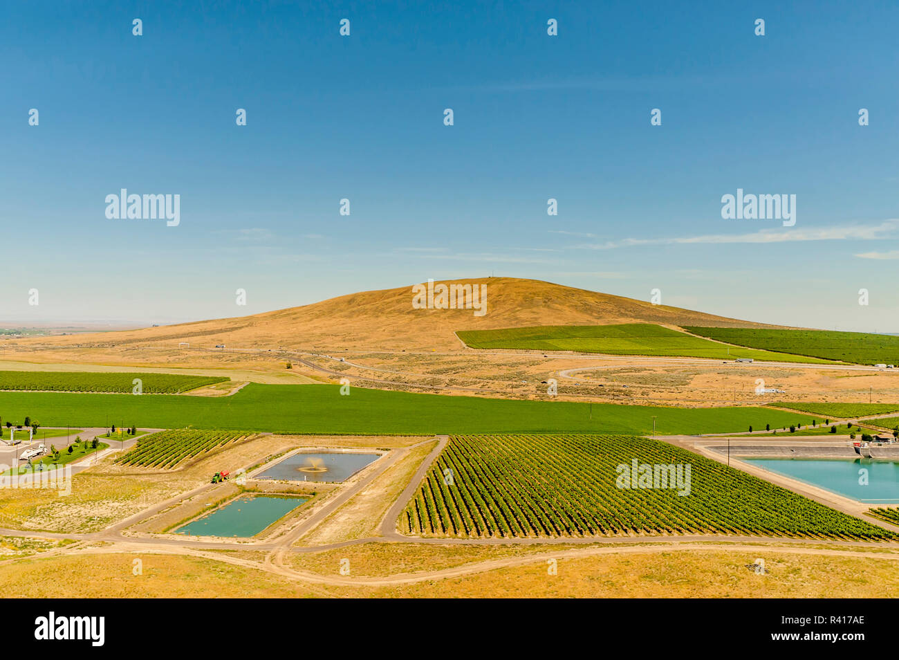 Goose ridge estate hi-res stock photography and images - Alamy