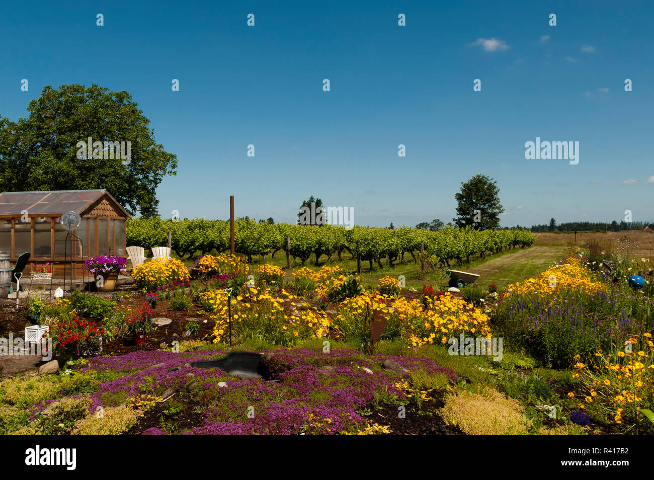 USA, Washington State, Camas. Garden at English Estate winery Stock ...