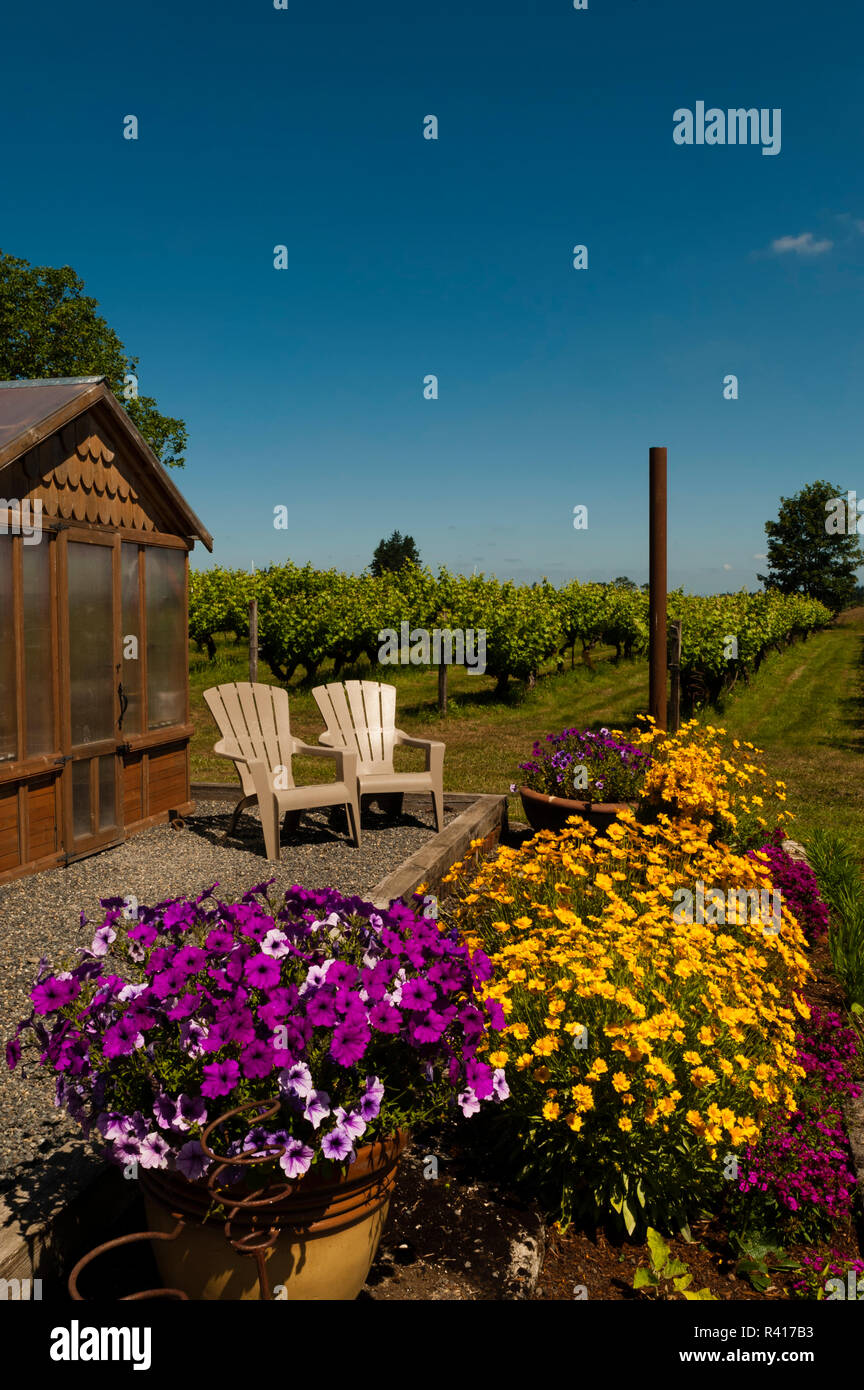 Camas and washington hi-res stock photography and images - Alamy