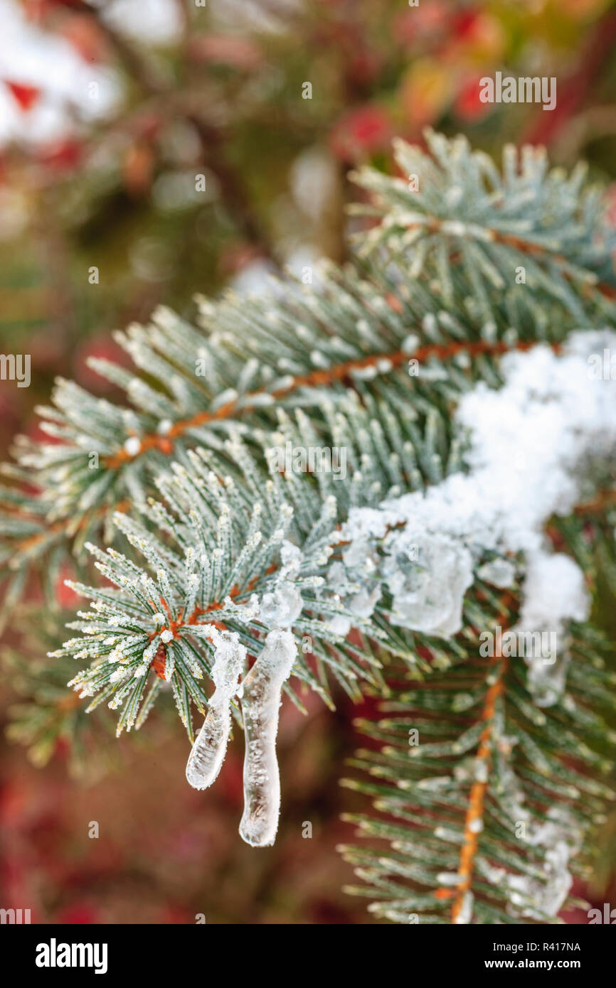 January Snow in Mill Creek, Washington State neighborhood Stock Photo ...