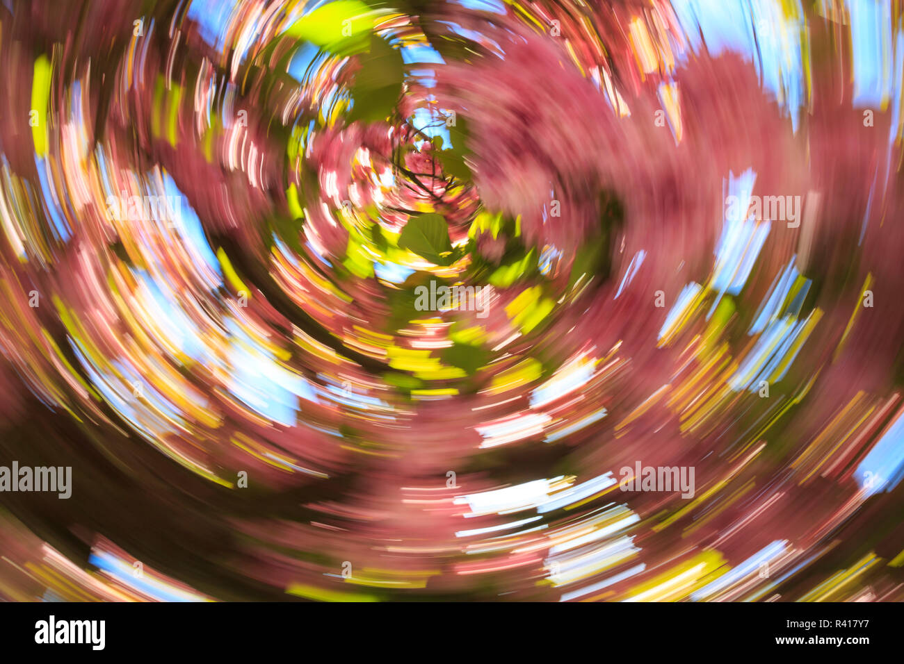 Motion graphic usa hi-res stock photography and images - Alamy