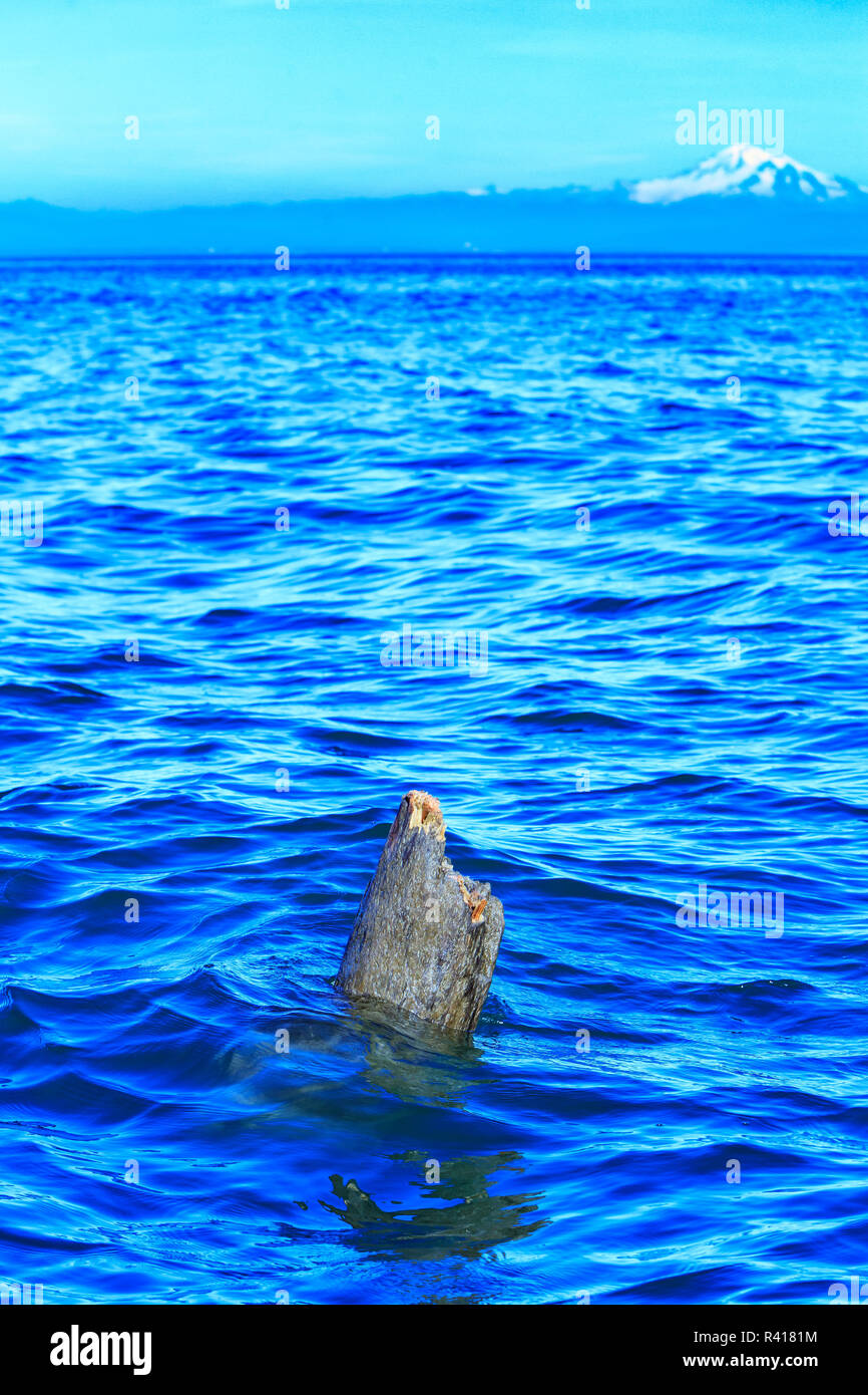 Deadhead, large floating log a real danger to boats, San Juan Islands ...