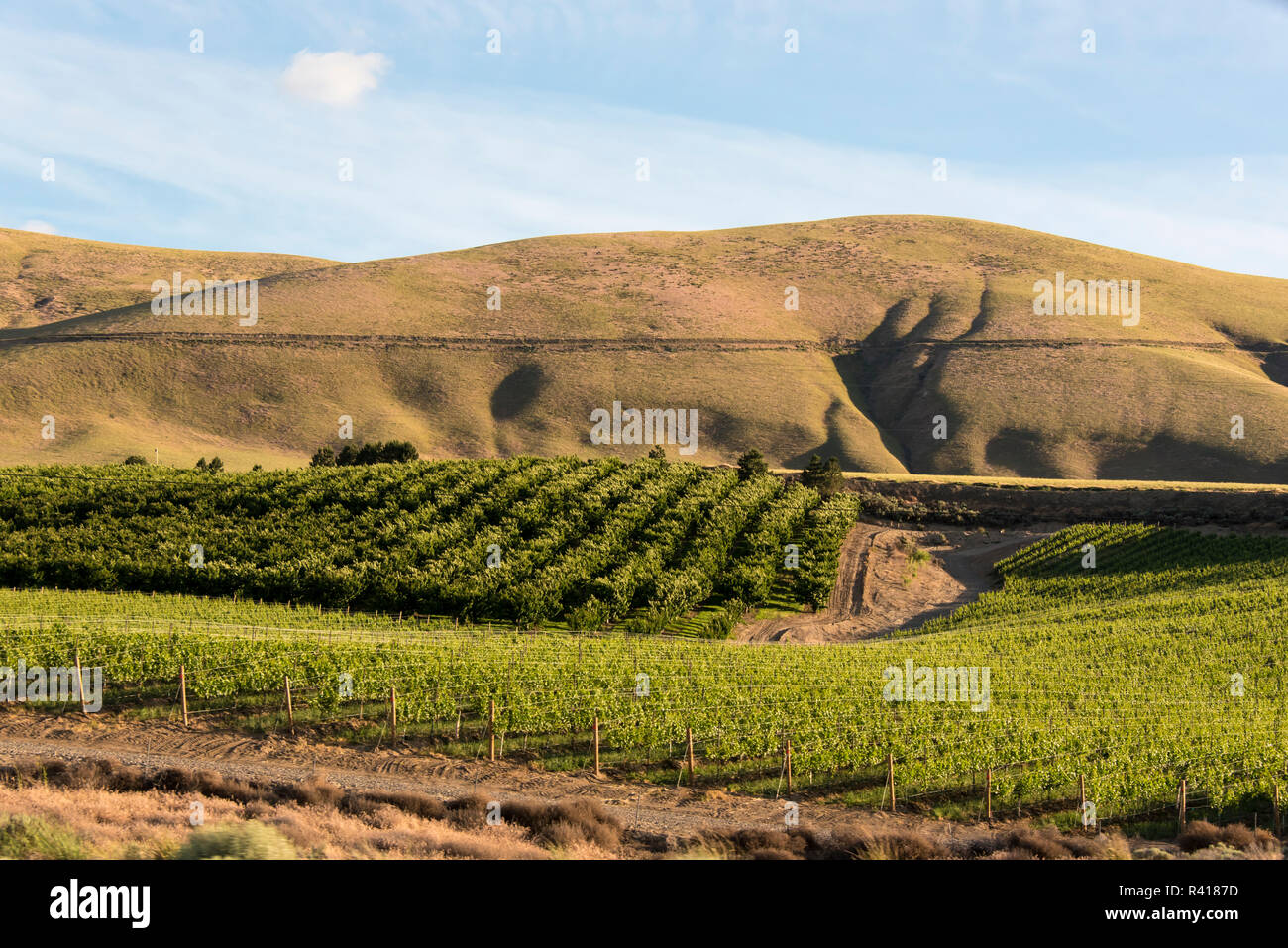 Central usa agriculture hi-res stock photography and images - Alamy
