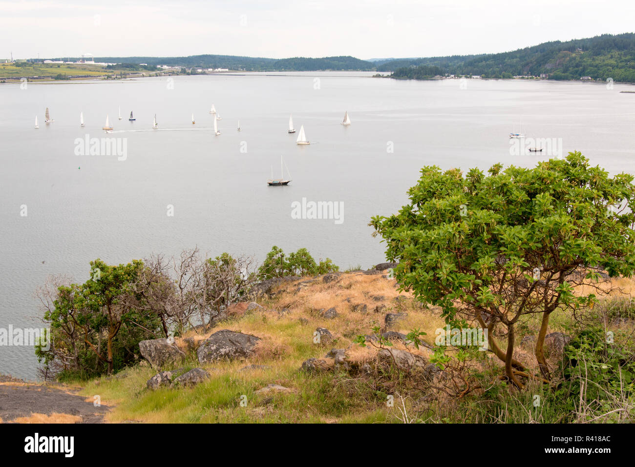USA, Washington State, Fidalgo Island, Anacortes. Anacortes Yacht Club ...
