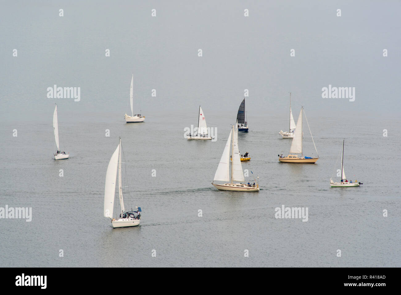 USA, Washington State, Fidalgo Island. Sailboat buoy races in Fidalgo ...