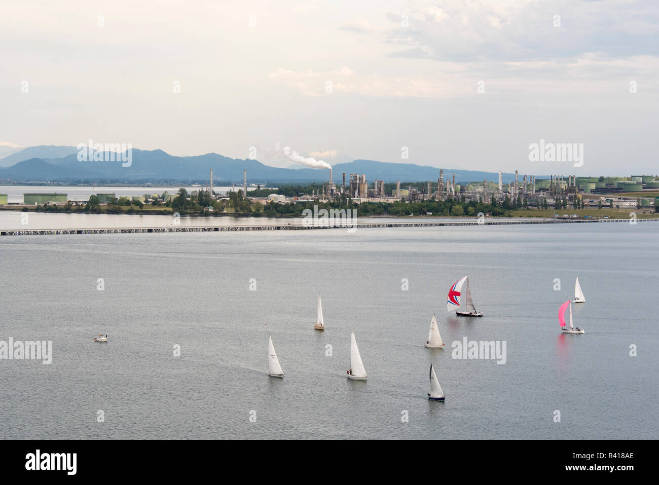 USA, Washington State, Fidalgo Island. Sailboat buoy races in Fidalgo ...