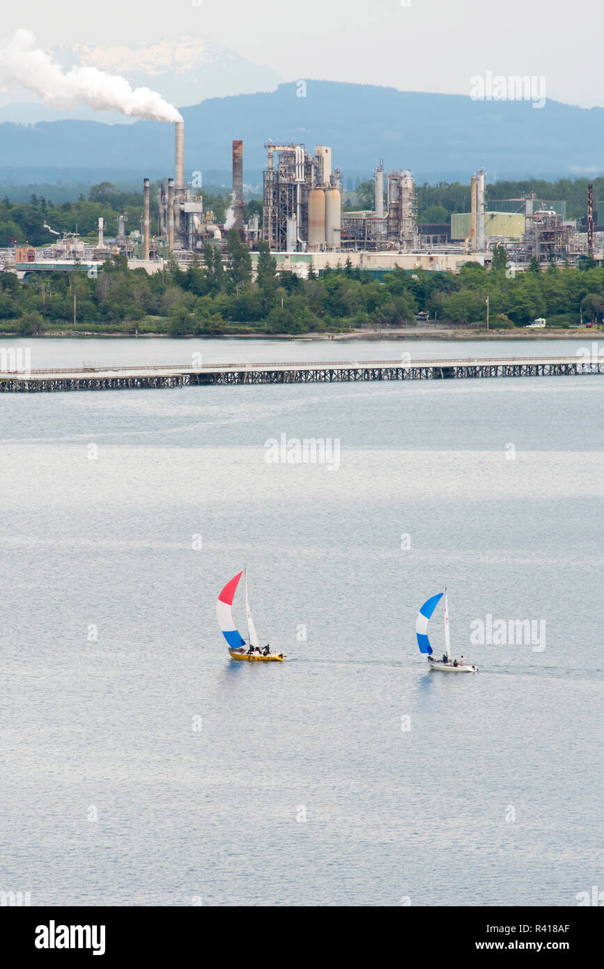 USA, Washington State, Fidalgo Island. Sailboat buoy races in Fidalgo ...