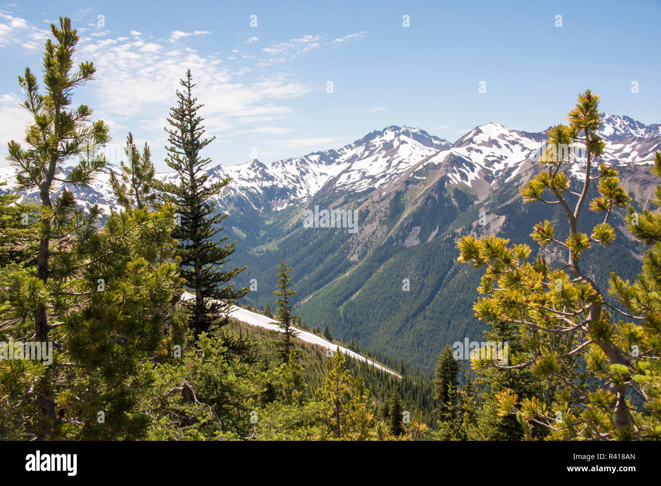 Quilcene river hi-res stock photography and images - Alamy