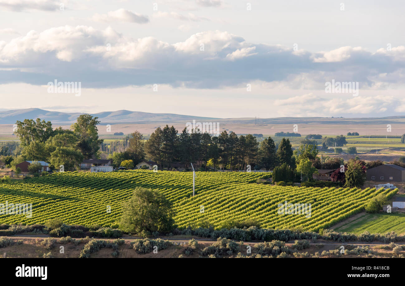USA, Washington State. Agricultural scenic eastern Washington Stock ...