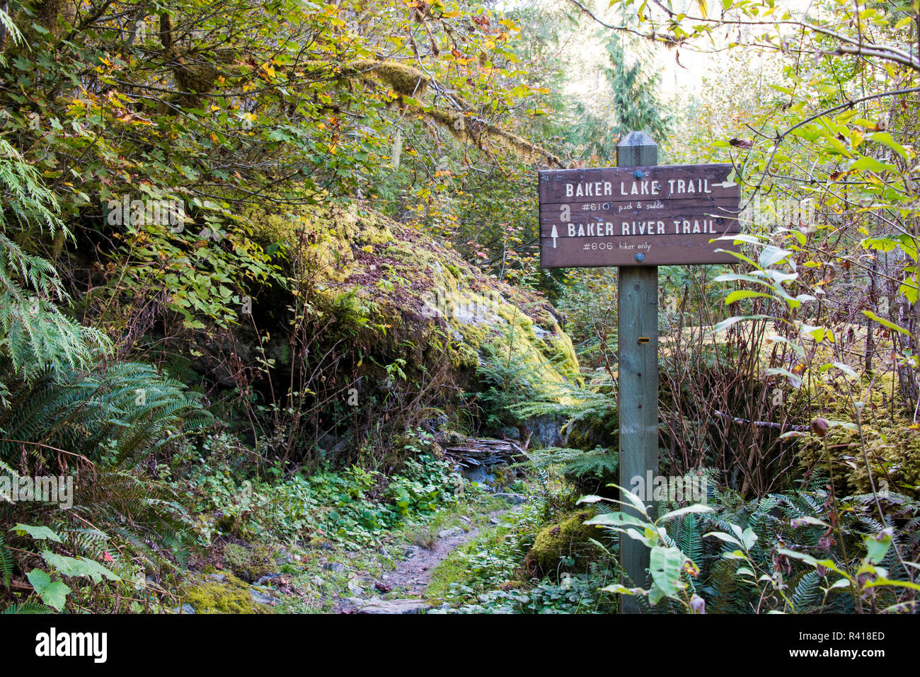 Snoqualmie national forest sign hi-res stock photography and images - Alamy