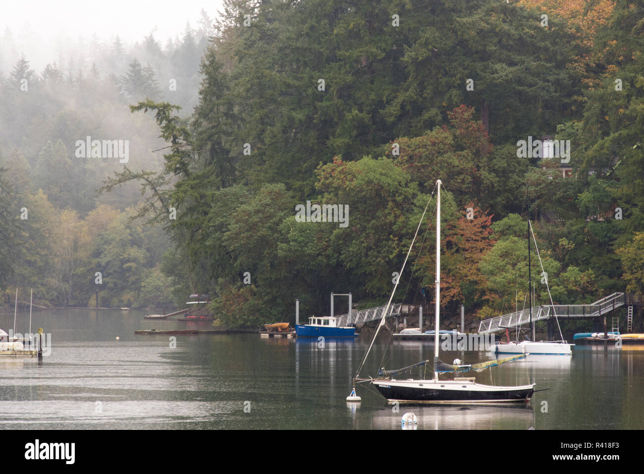 Moody rain hi-res stock photography and images - Alamy