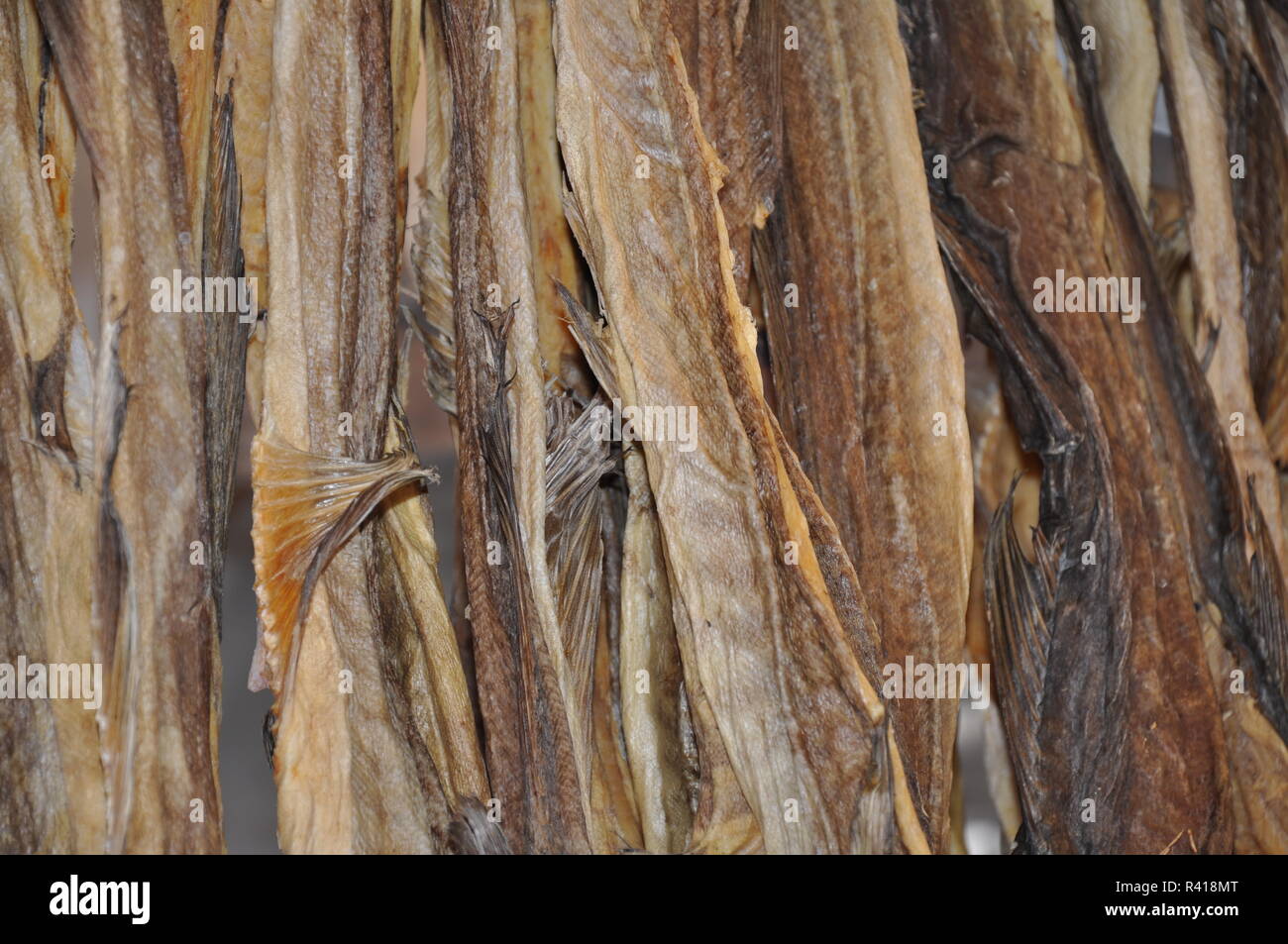 Fisch export hi-res stock photography and images - Alamy