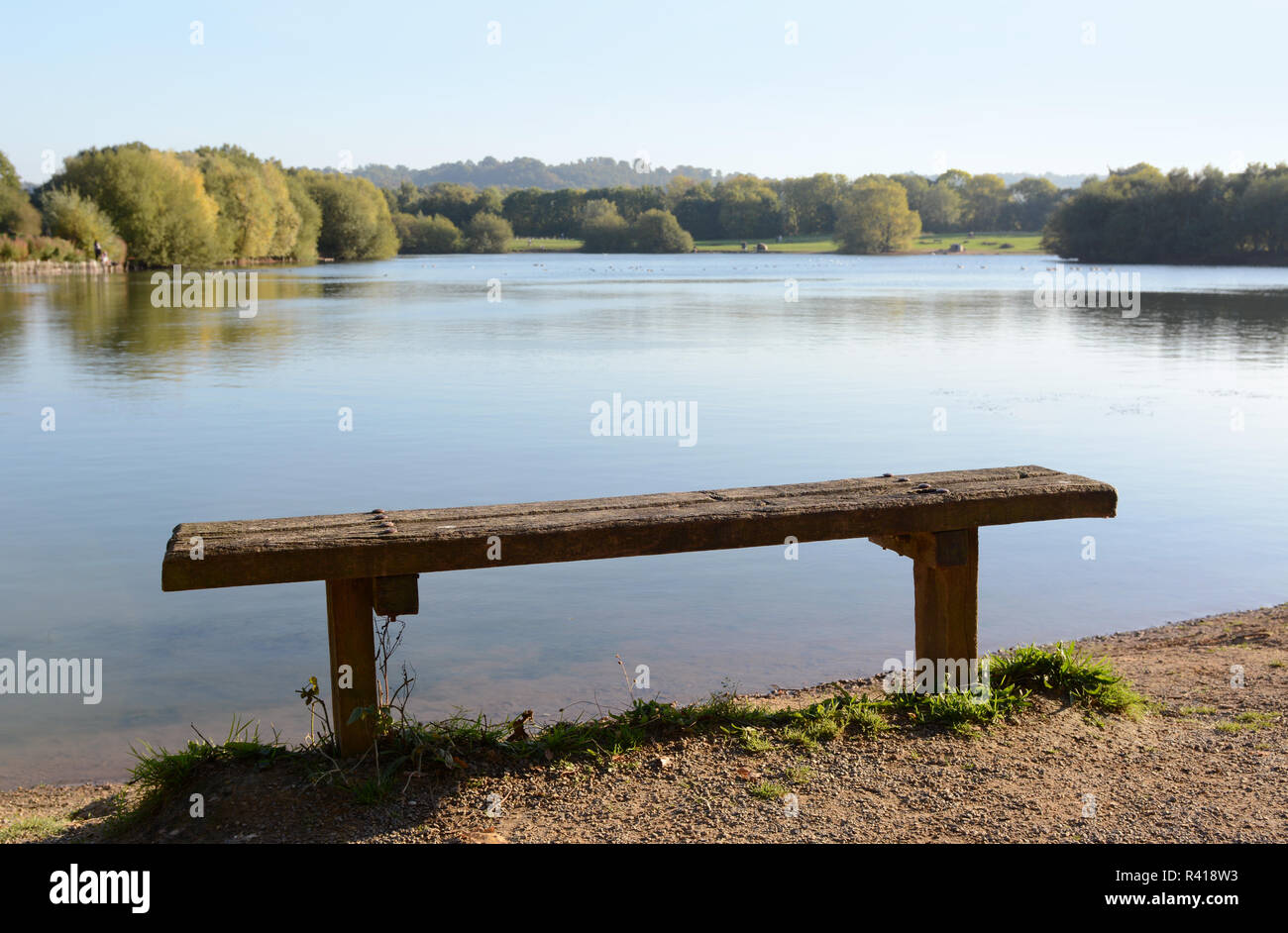 Rustic bench by a lake Stock Photo - Alamy