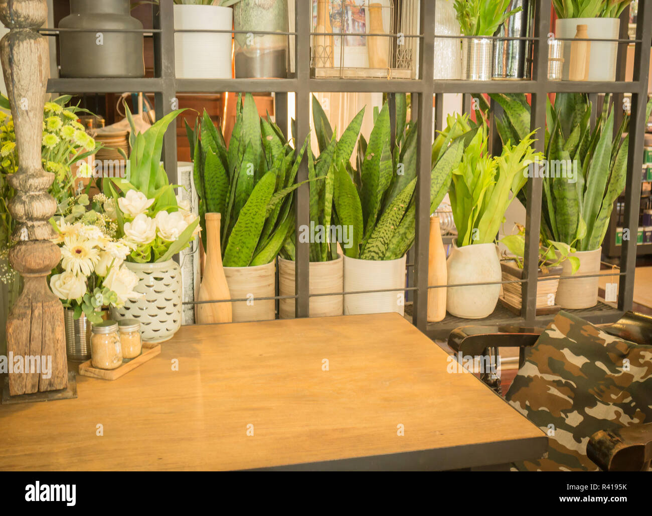 Small plant pot displayed in coffee shop vintage color Stock Photo - Alamy