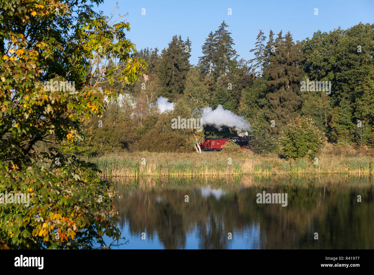Steam engine of the selketalbahn hi-res stock photography and images ...