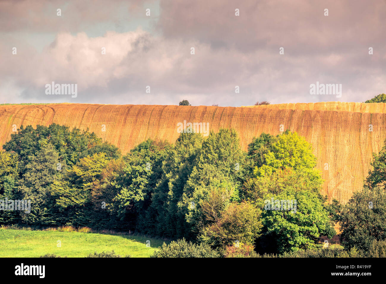 Agricultural hillside fields with green trees Stock Photo - Alamy