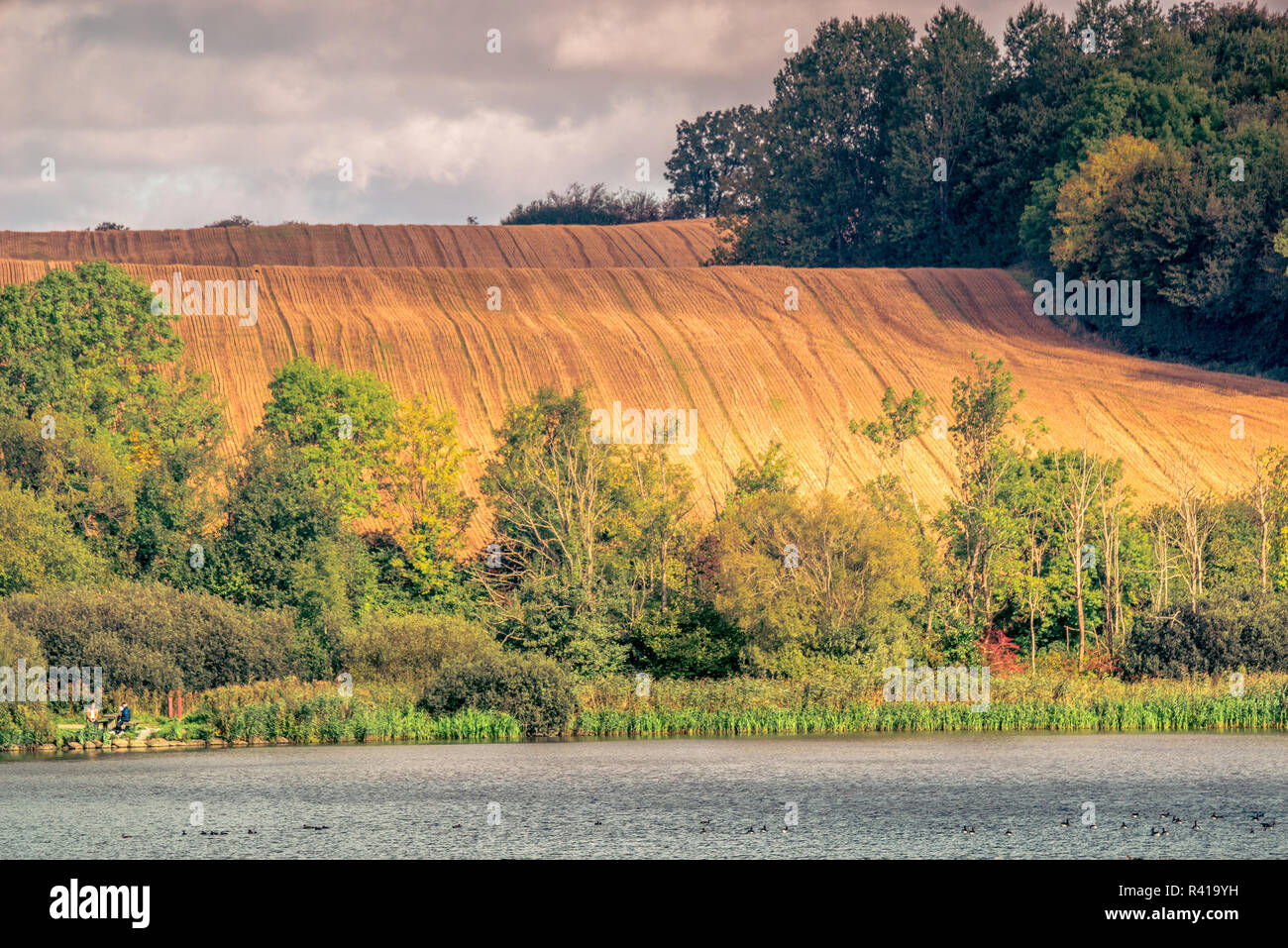 Agricultural hillside fields above a lake Stock Photo - Alamy
