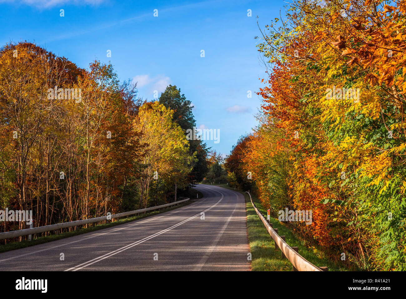 Colorful trees by a road Stock Photo - Alamy