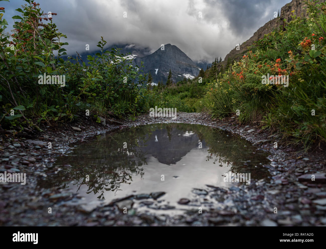 Puddle exploration hi-res stock photography and images - Alamy