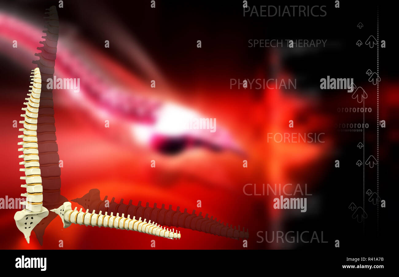 Back bone hi-res stock photography and images - Alamy