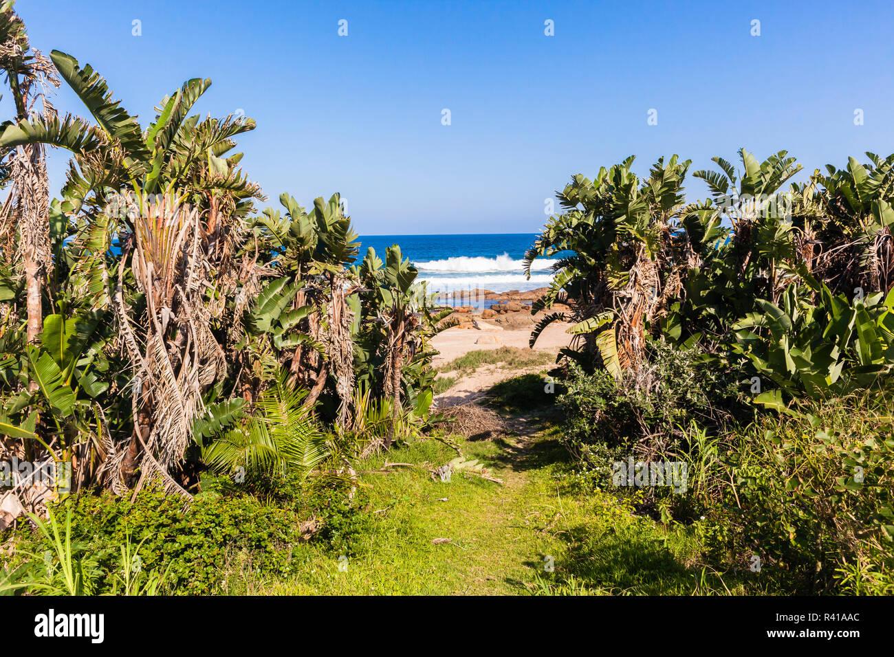 Beach Pathway Ocean Stock Photo - Alamy
