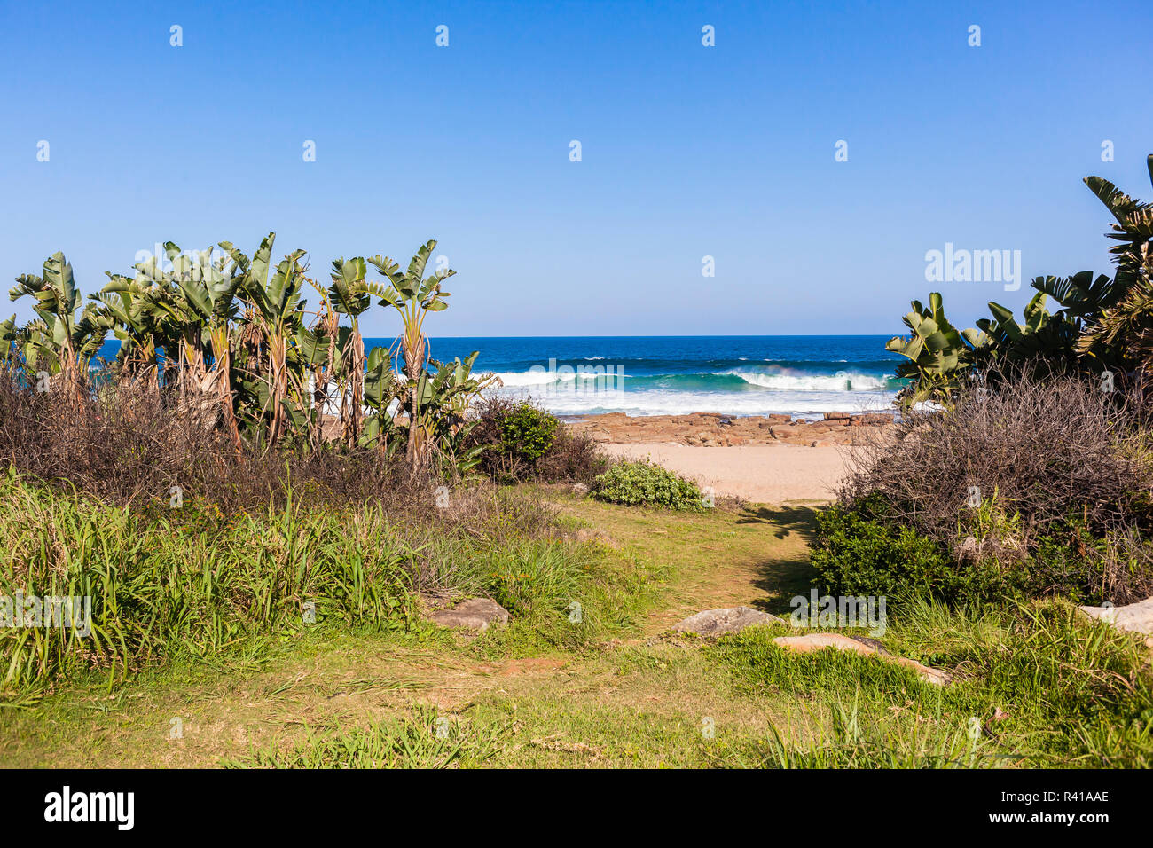 Beach Pathway Ocean Stock Photo - Alamy