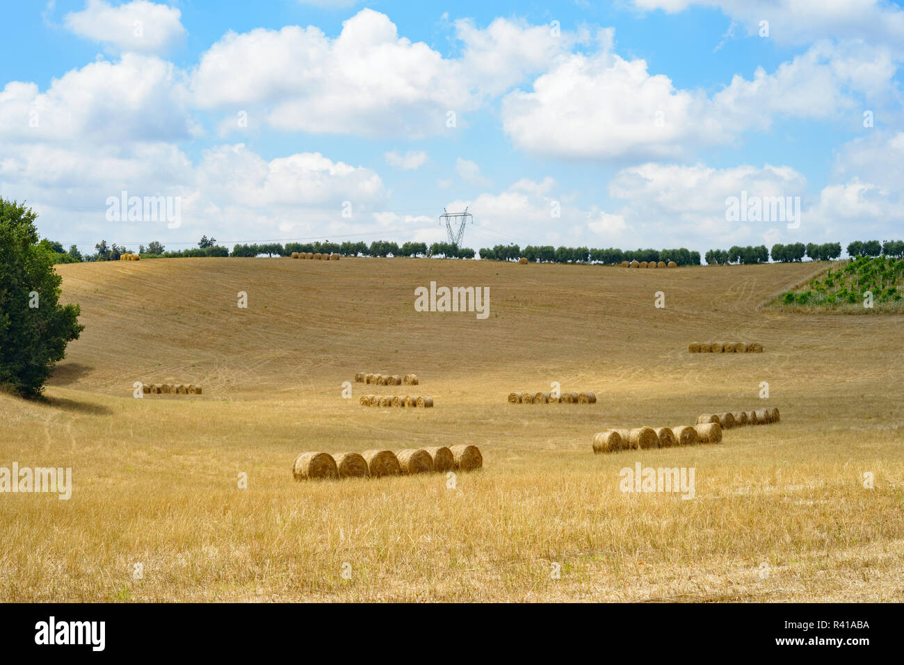 Hayball hi-res stock photography and images - Alamy