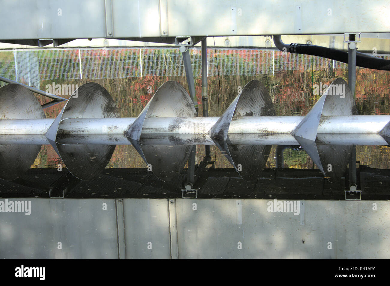floating slug in secondary clarifier Stock Photo - Alamy
