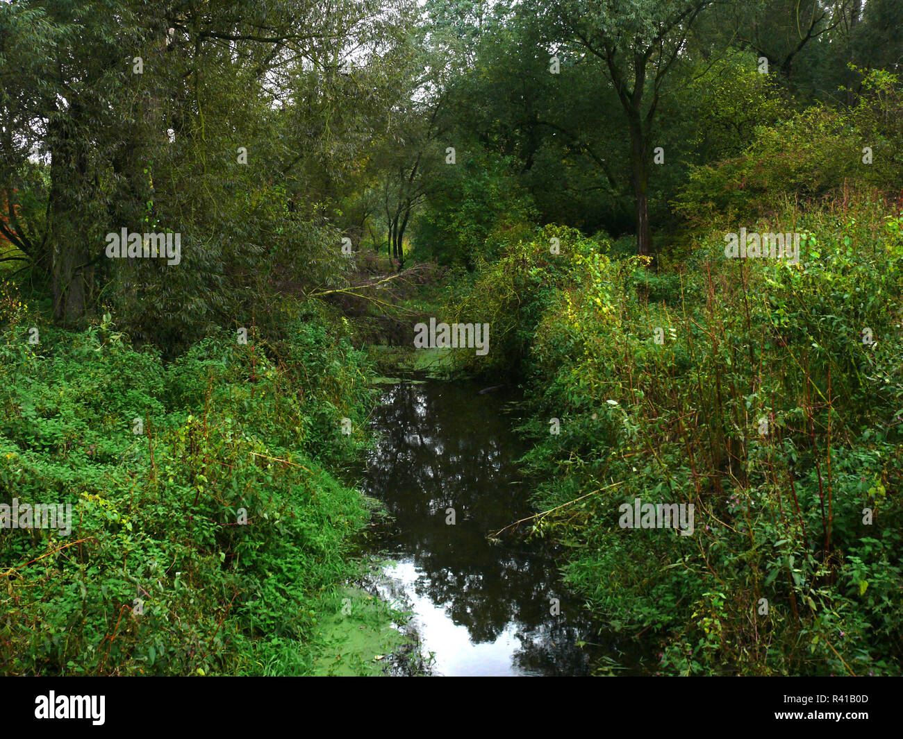 Alte leine hi-res stock photography and images - Alamy