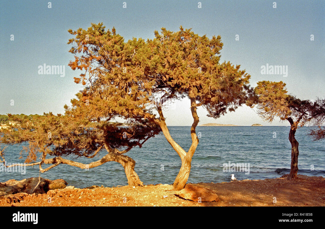 Mediterran salt water sea ocean hi-res stock photography and images - Alamy