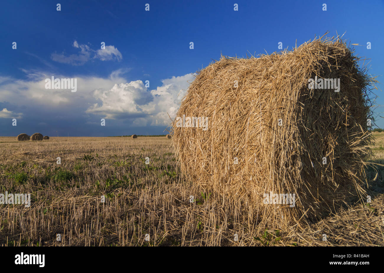 haystack on the meadow Stock Photo - Alamy